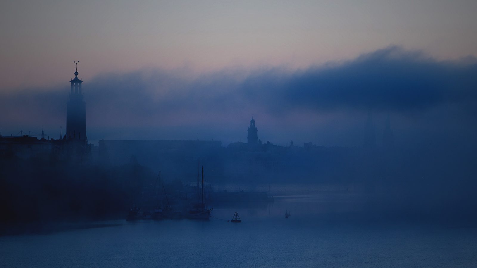 Lynx Asset Management